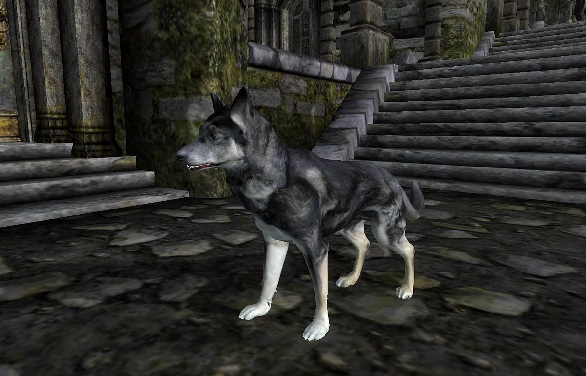 Ushnar's Dog | Elder Scrolls | Fandom