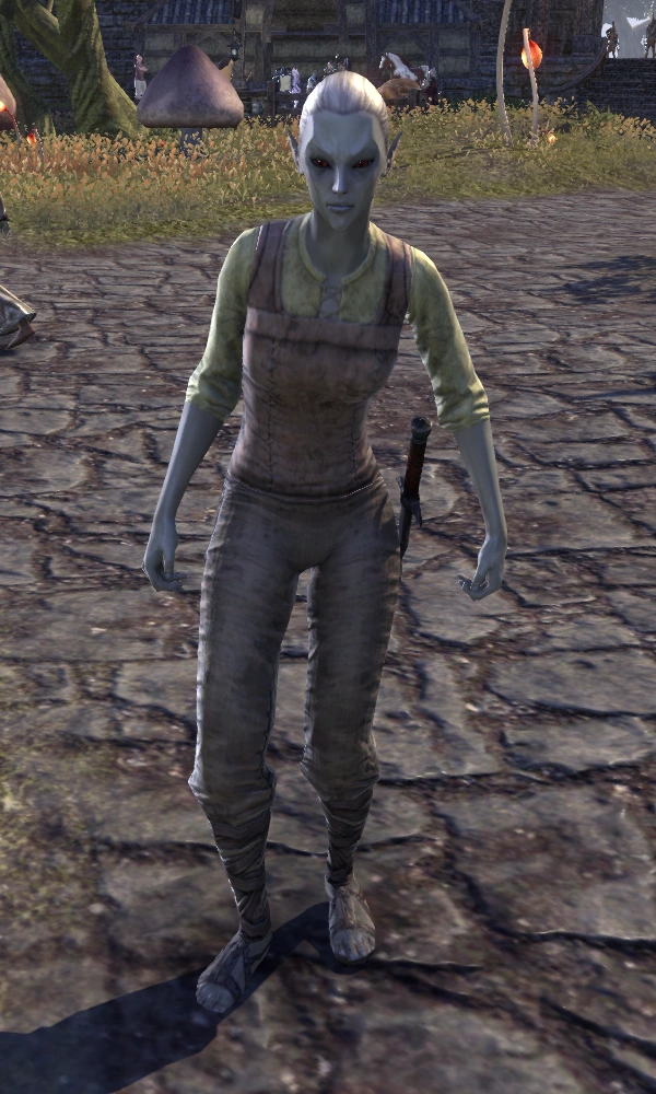 Xand | Elder Scrolls | Fandom