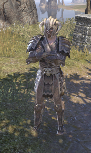 Dark Witness Gravesinger | Elder Scrolls | Fandom