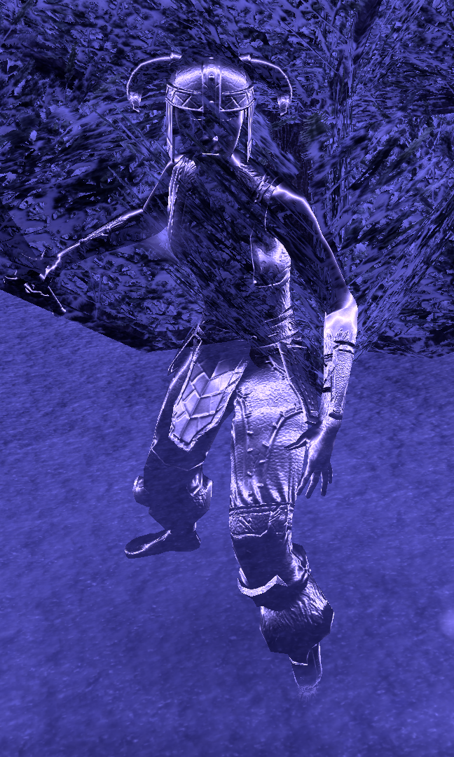 Fantassin Du Roi Scalde Wiki The Elder Scrolls Fandom