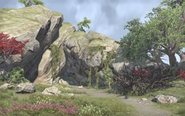 Gryphon Aerie | Elder Scrolls | Fandom