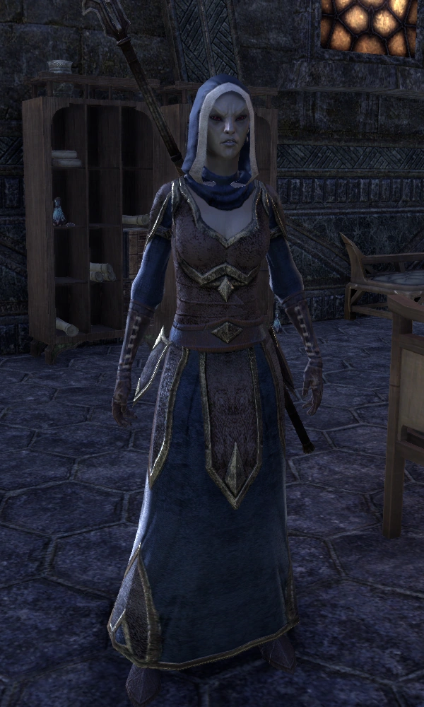 Instructor Meralys | Elder Scrolls | Fandom