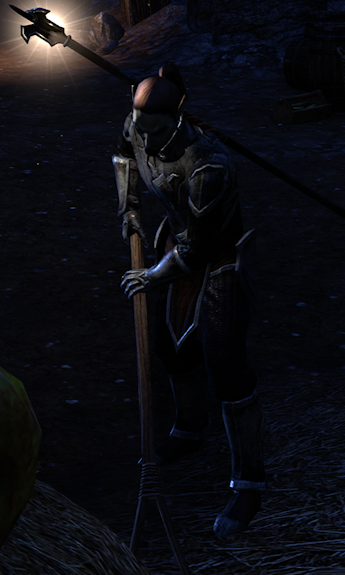 Pit Rat Mender Elder Scrolls Fandom