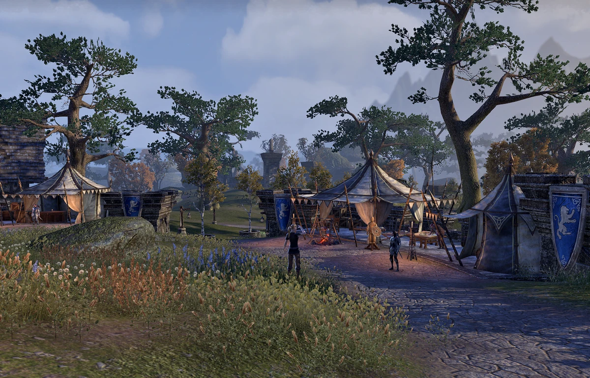 Wayrest Regiment's Camp | Elder Scrolls | Fandom
