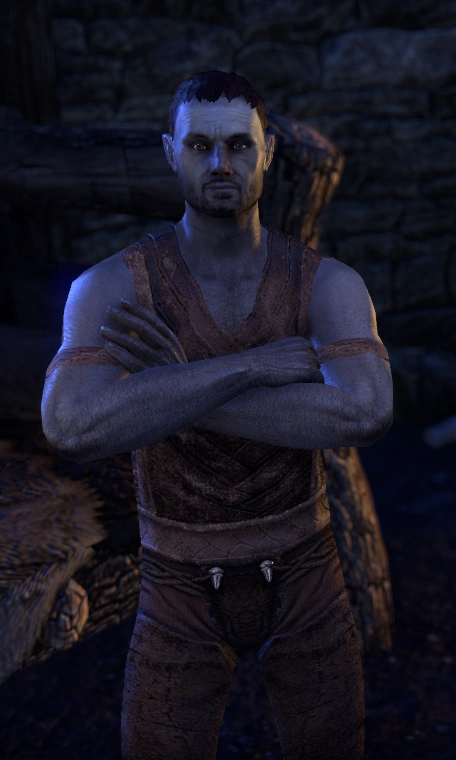 Ulster | Wiki The Elder Scrolls | Fandom