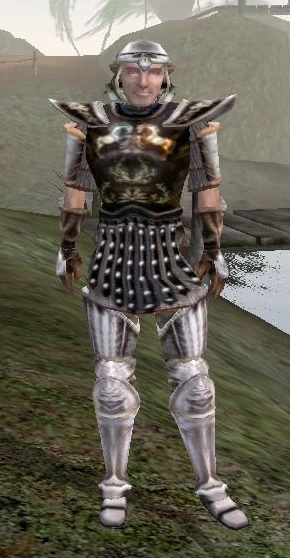 Стража (Morrowind) | The Elder Scrolls Wiki | Fandom