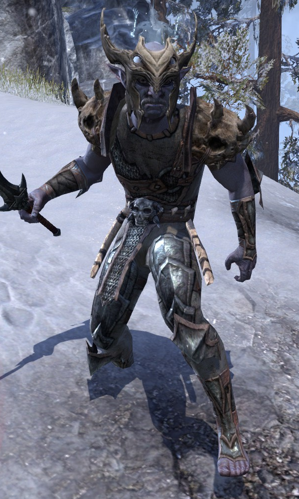 Riekr Elder Scrolls Fandom