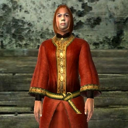 Oblivion Robes Over Armor