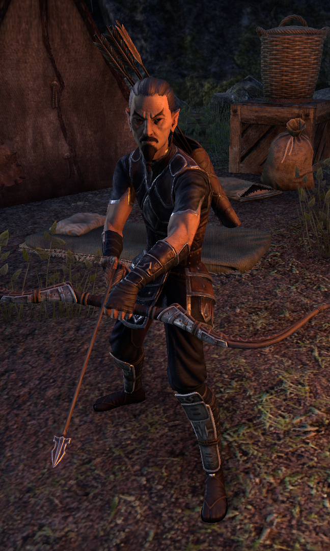 Rôdeur Matonnoir Wiki The Elder Scrolls Fandom