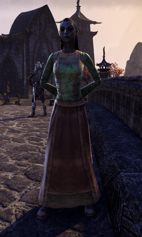 Erila Morvayn | Wiki The Elder Scrolls | Fandom