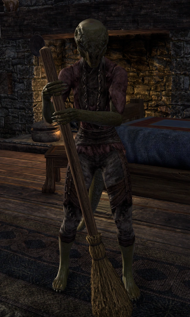 Eukkaneeus | Wiki The Elder Scrolls | Fandom