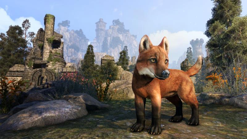 Red Pit Wolf Pup | Elder Scrolls | Fandom