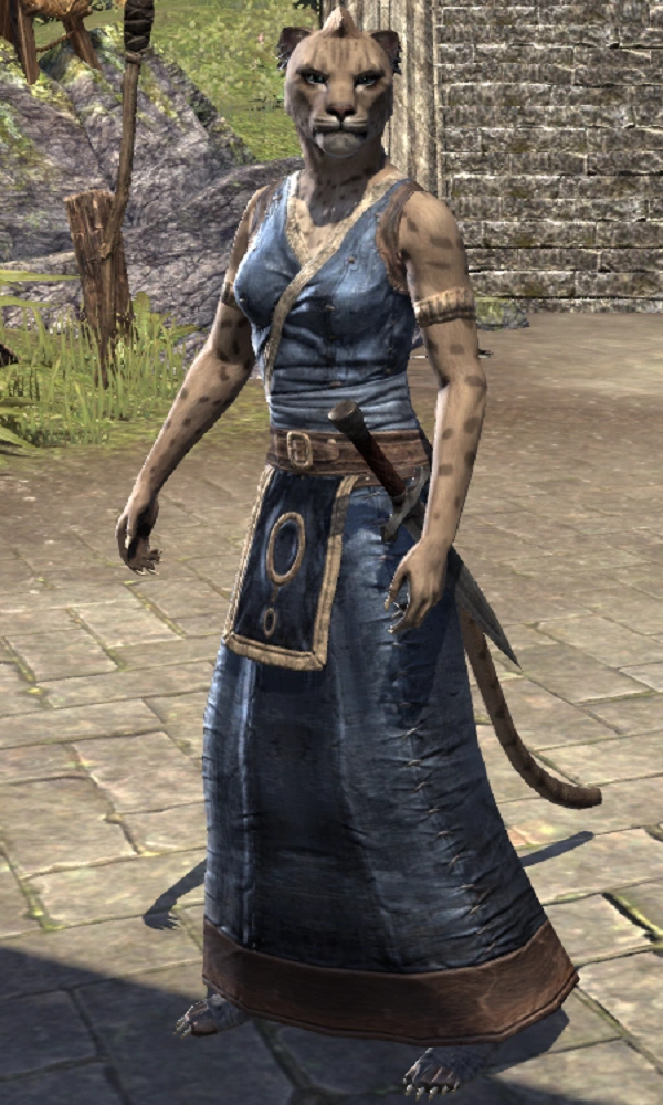 Zurka | Elder Scrolls | Fandom