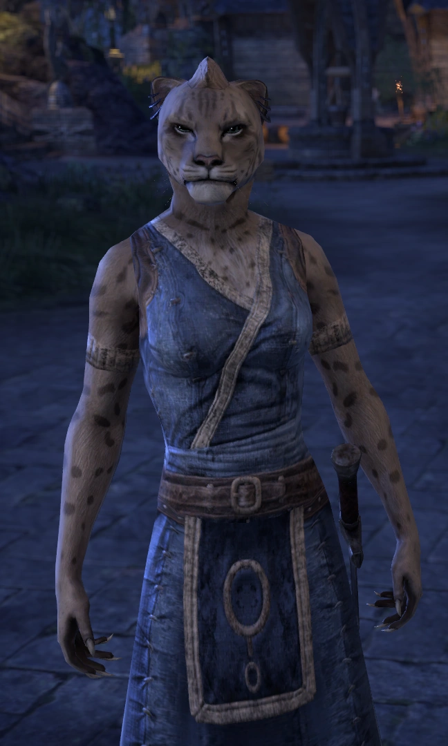 Zurka | Wiki The Elder Scrolls | Fandom