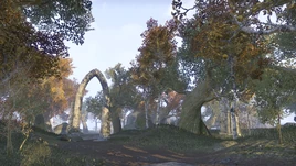 Cyrodiil (Online Province) | Elder Scrolls | Fandom