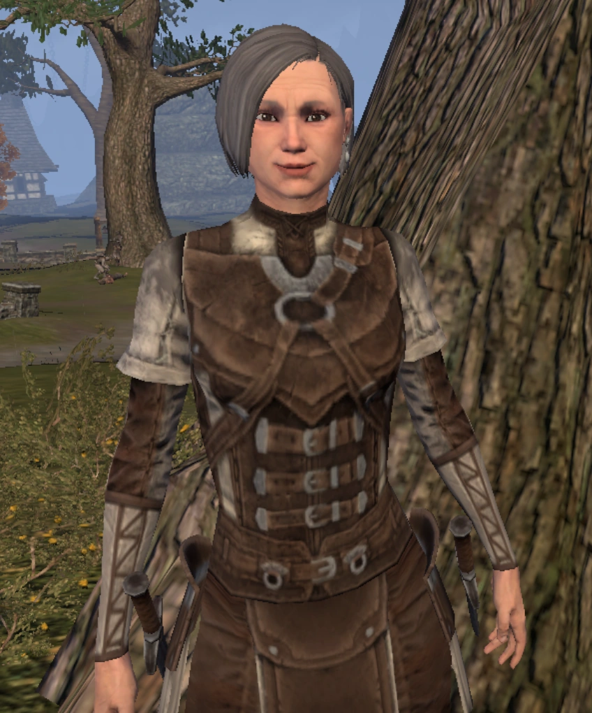 Category:Online: Dro-Dara Plantation Characters | Elder Scrolls | Fandom