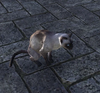 Wendelbek (Online) | Elder Scrolls | Fandom