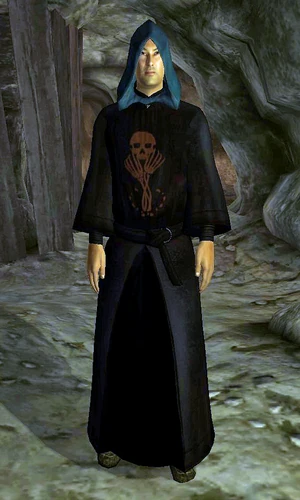 Necromancer (Oblivion) | Elder Scrolls | Fandom