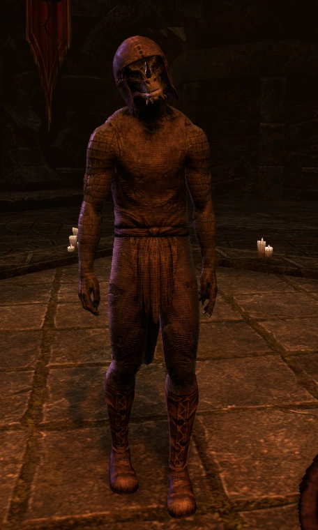 Fêtard argonien | Wiki The Elder Scrolls | Fandom