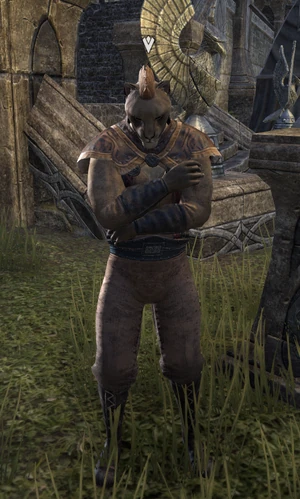 Grumpy Temple Stoic | Elder Scrolls | Fandom