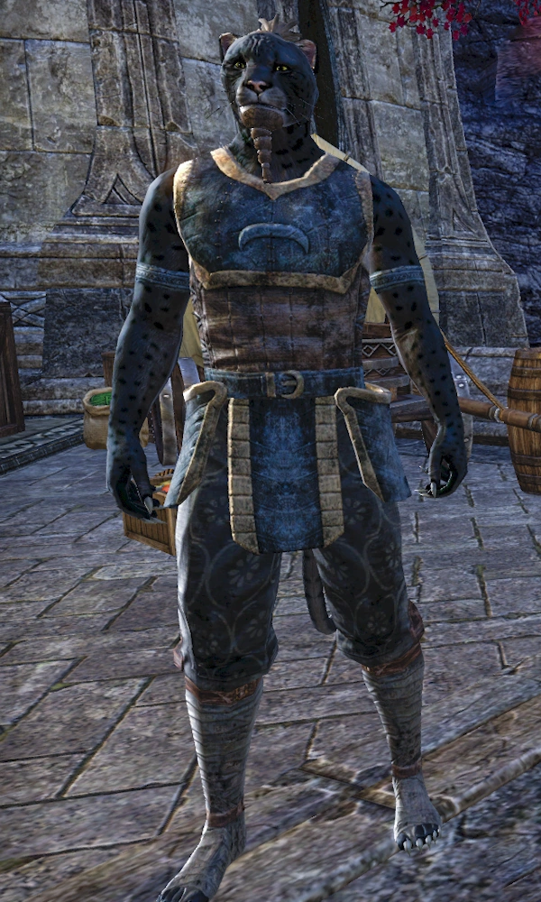 Ri'zaadzin | Elder Scrolls | Fandom