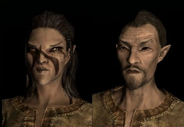 Bosmer | Elder Scrolls | Fandom