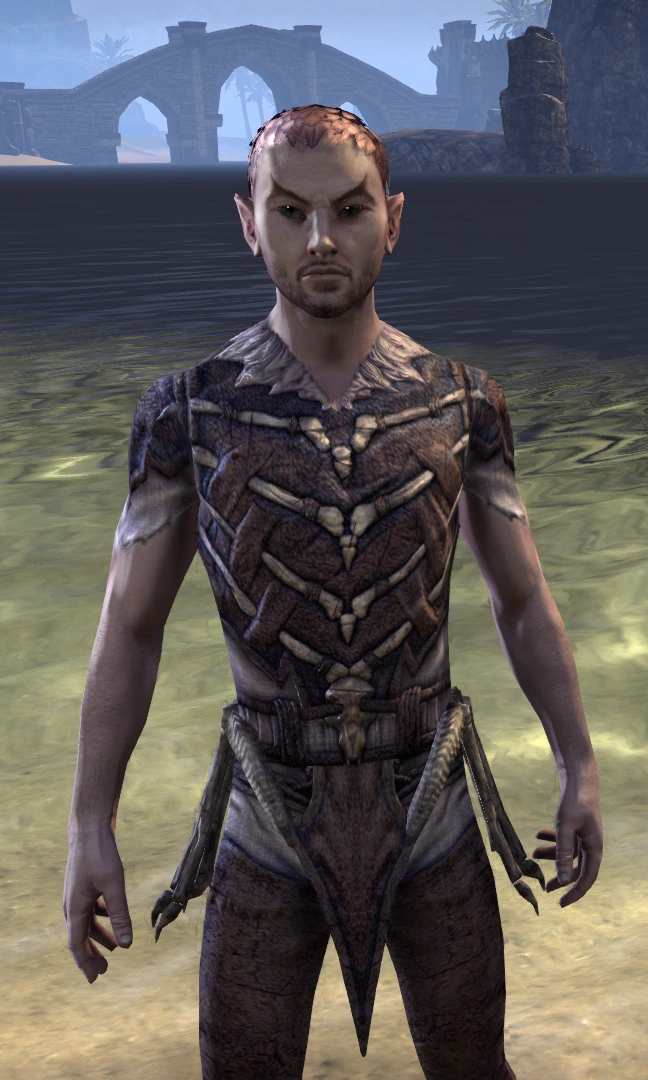 Dérégor | Wiki The Elder Scrolls | Fandom