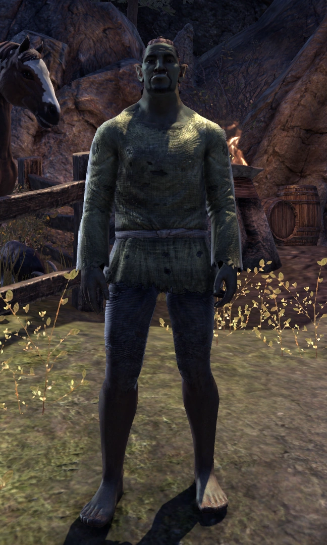 Morg gro-Graaum | Wiki The Elder Scrolls | Fandom