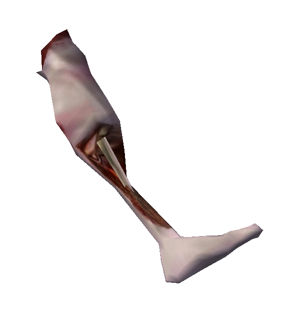 Severed Nord Leg | Elder Scrolls | Fandom