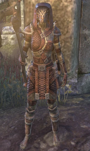 Stormhold Guard | Elder Scrolls | Fandom