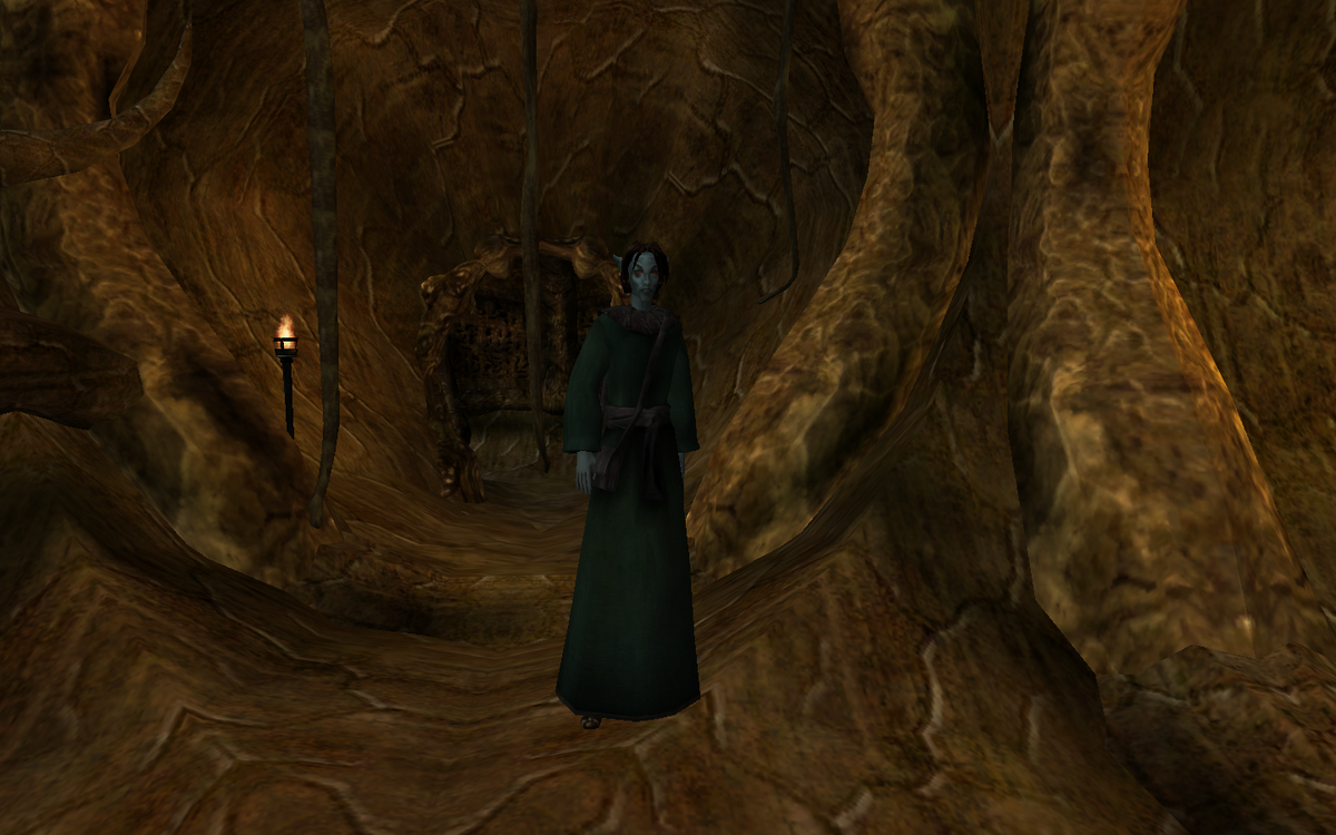 Дом Совета Телванни The Elder Scrolls Wiki Fandom