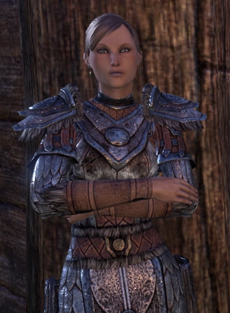 Captain Viveka | Elder Scrolls | Fandom