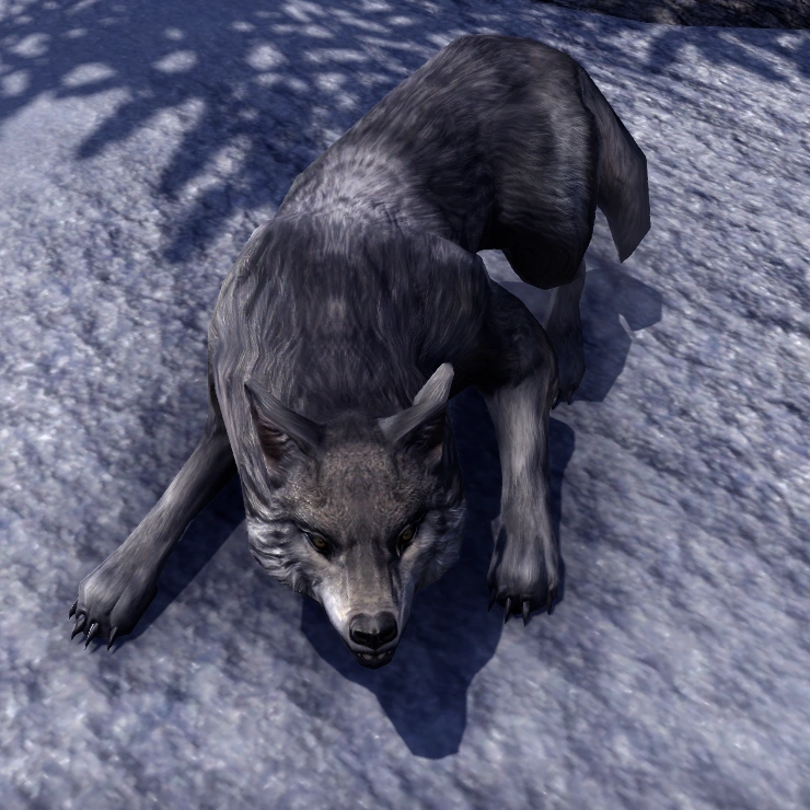 Wolf (Online) | The Elder Scrolls Wiki | Fandom