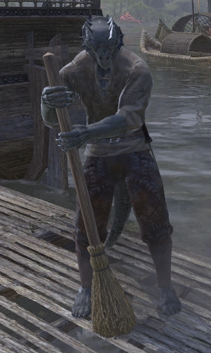 Xazar | Elder Scrolls | Fandom