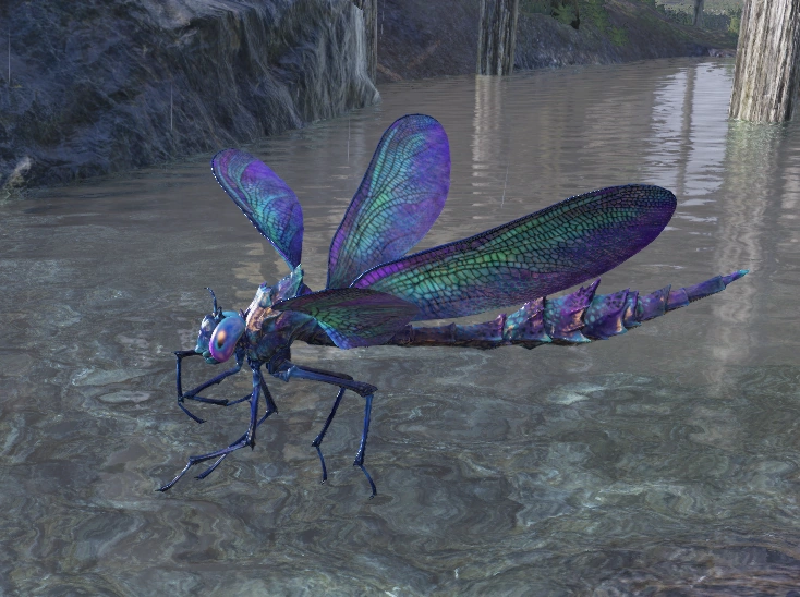 Dragonfly (Online) | Elder Scrolls | Fandom