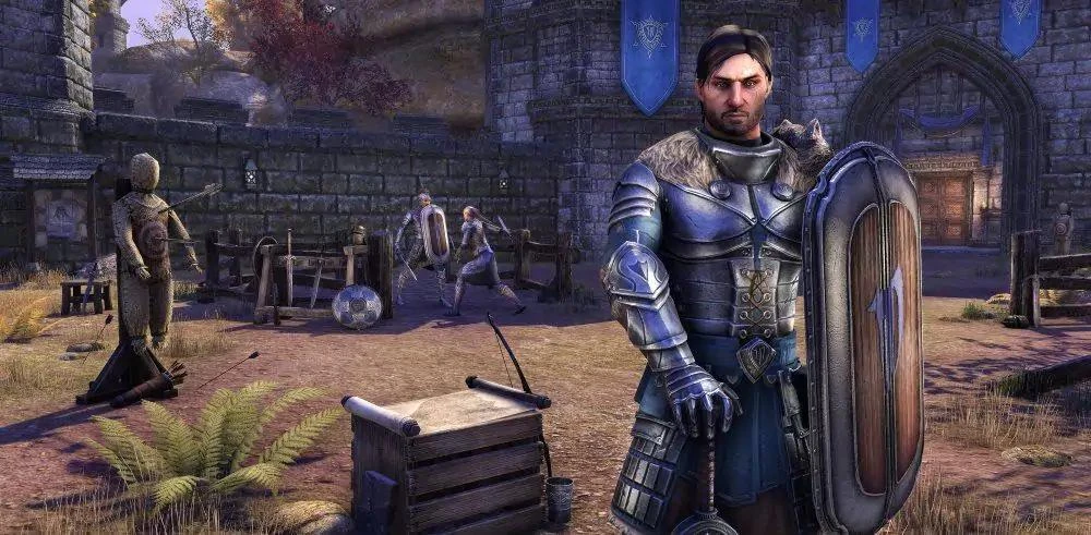 Meet the Character - Commander Varian | The Elder Scrolls Wiki | Fandom