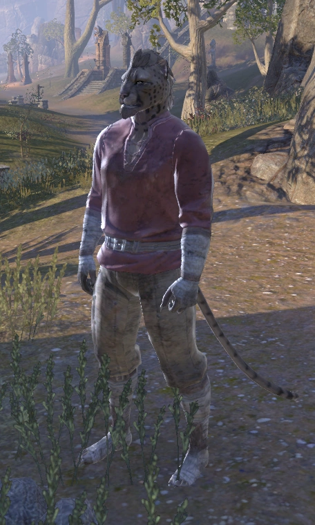 Splitwhisker | Elder Scrolls | Fandom