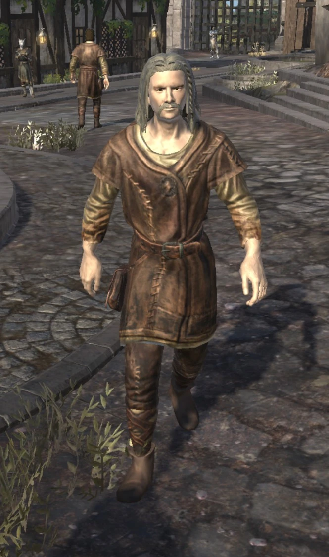 Varro Matius | Elder Scrolls | Fandom