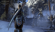 The Elder Scrolls Online: Orsinium | Elder Scrolls | Fandom