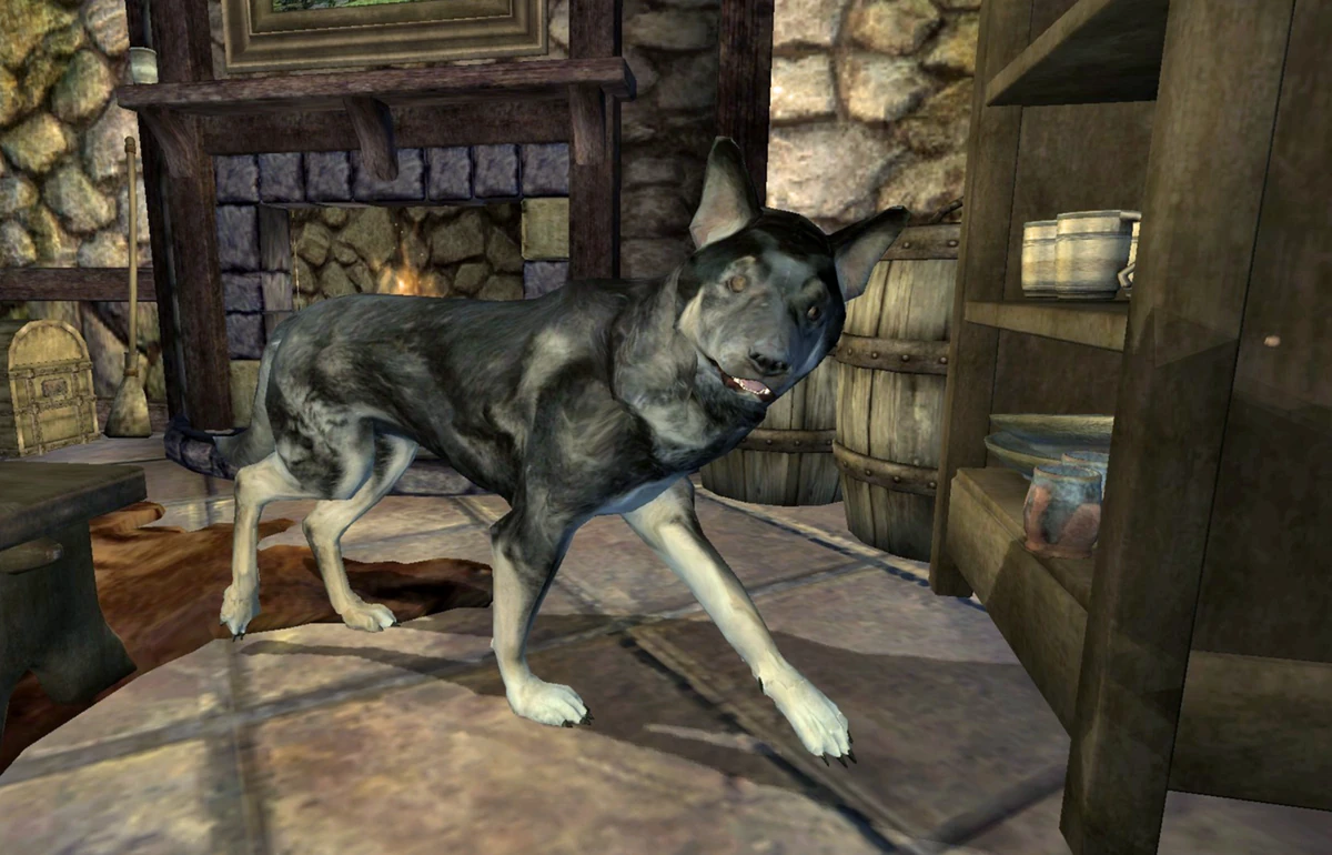 Category:Oblivion: Dogs | Elder Scrolls | Fandom
