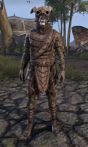 Hairan (Online) | Elder Scrolls | Fandom