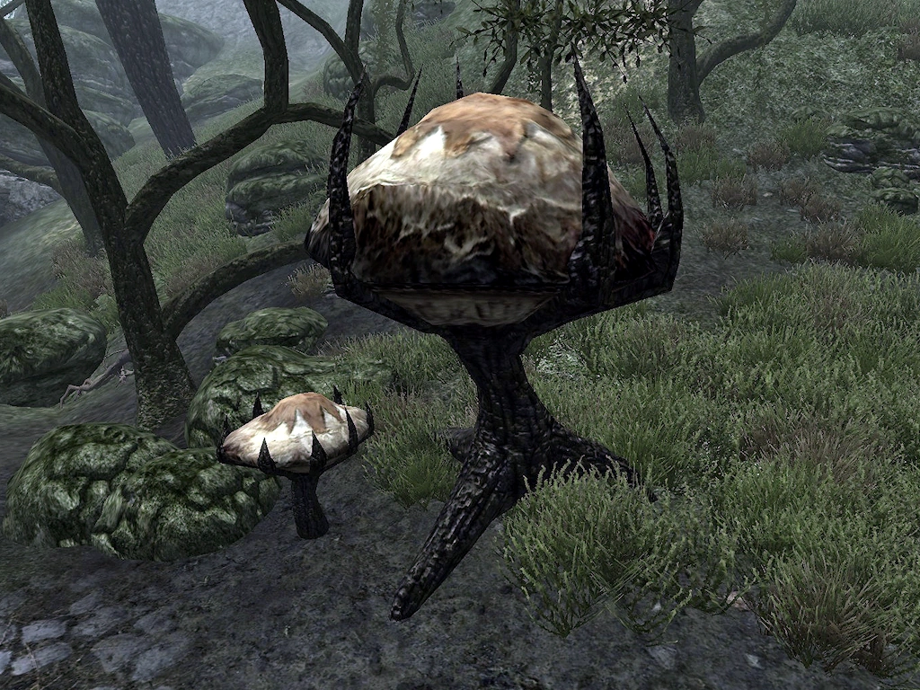 Black Tar | Elder Scrolls | Fandom