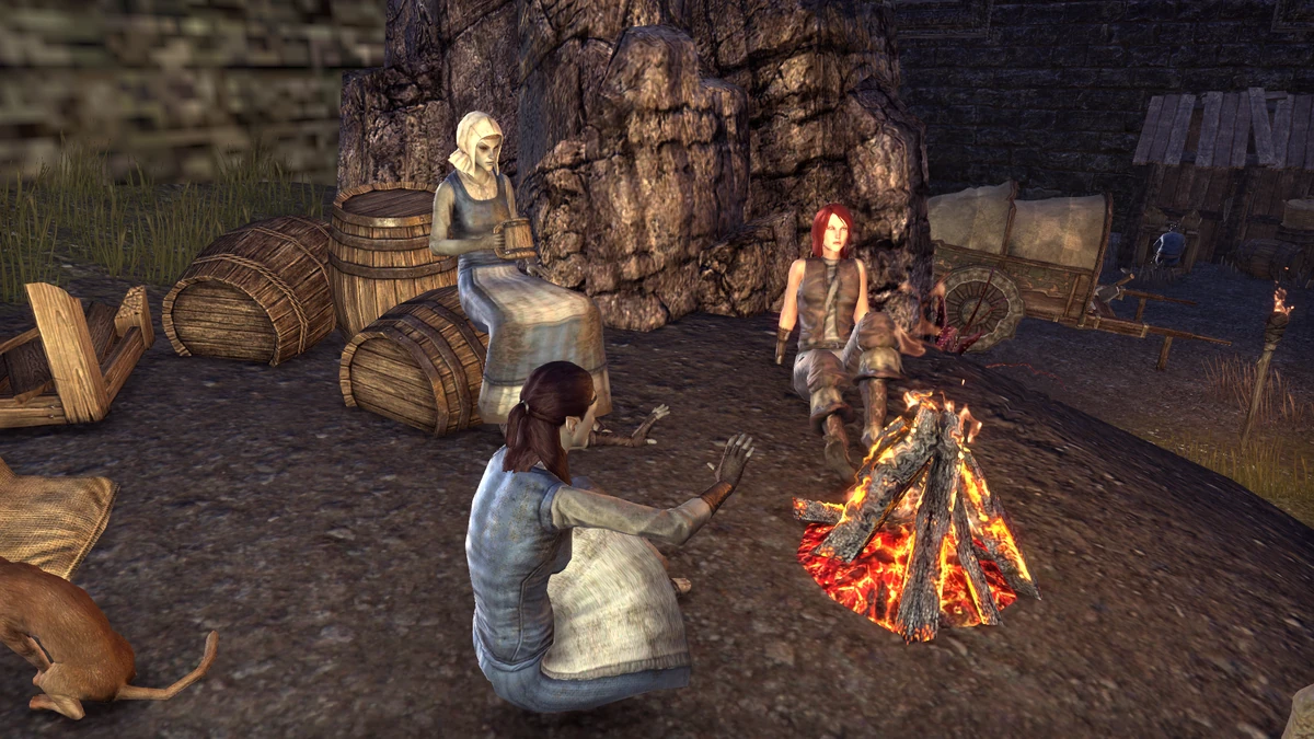 Refugee (Online) | Elder Scrolls | Fandom