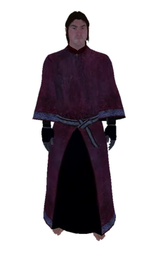 Oblivion Robes Over Armor