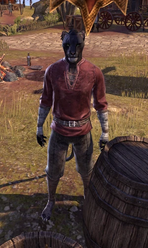 Balku | Elder Scrolls | Fandom