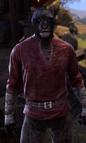 Balku | Wiki The Elder Scrolls | Fandom