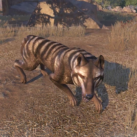 Dire Wolf | Elder Scrolls | Fandom