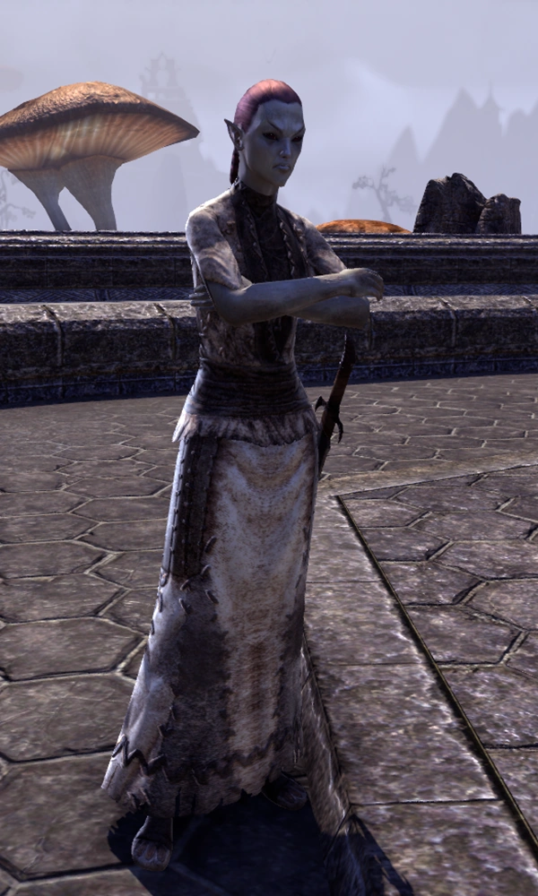 Category:Online: Iliath Temple Characters | Elder Scrolls | Fandom