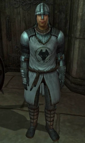 City Guard Armor | Elder Scrolls | Fandom