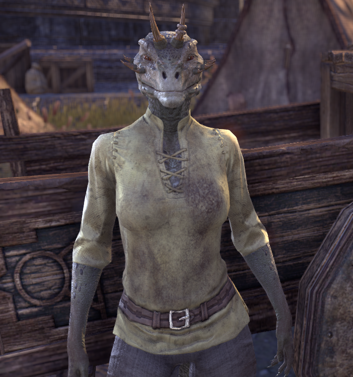 Чёрный Шёлк Земли The Elder Scrolls Wiki Fandom